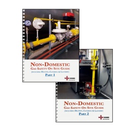 NICEIC Non Domestic Gas On-Site Guide Part 1 & 2 version 11 - Wiring ...